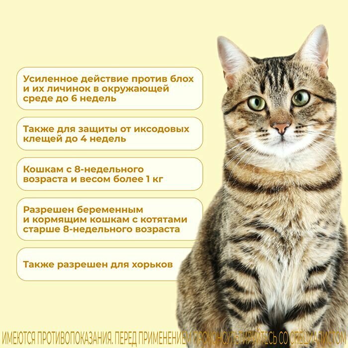 Фиприст Комбо капли на холку для кошек и хорьков от блох и клещей, 1 пипетка — фото 1