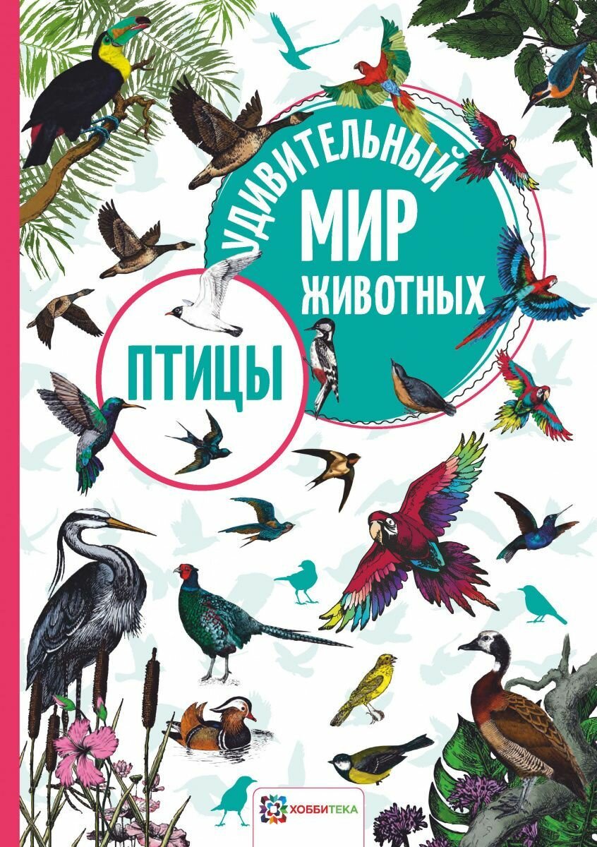 Книга "Птицы"