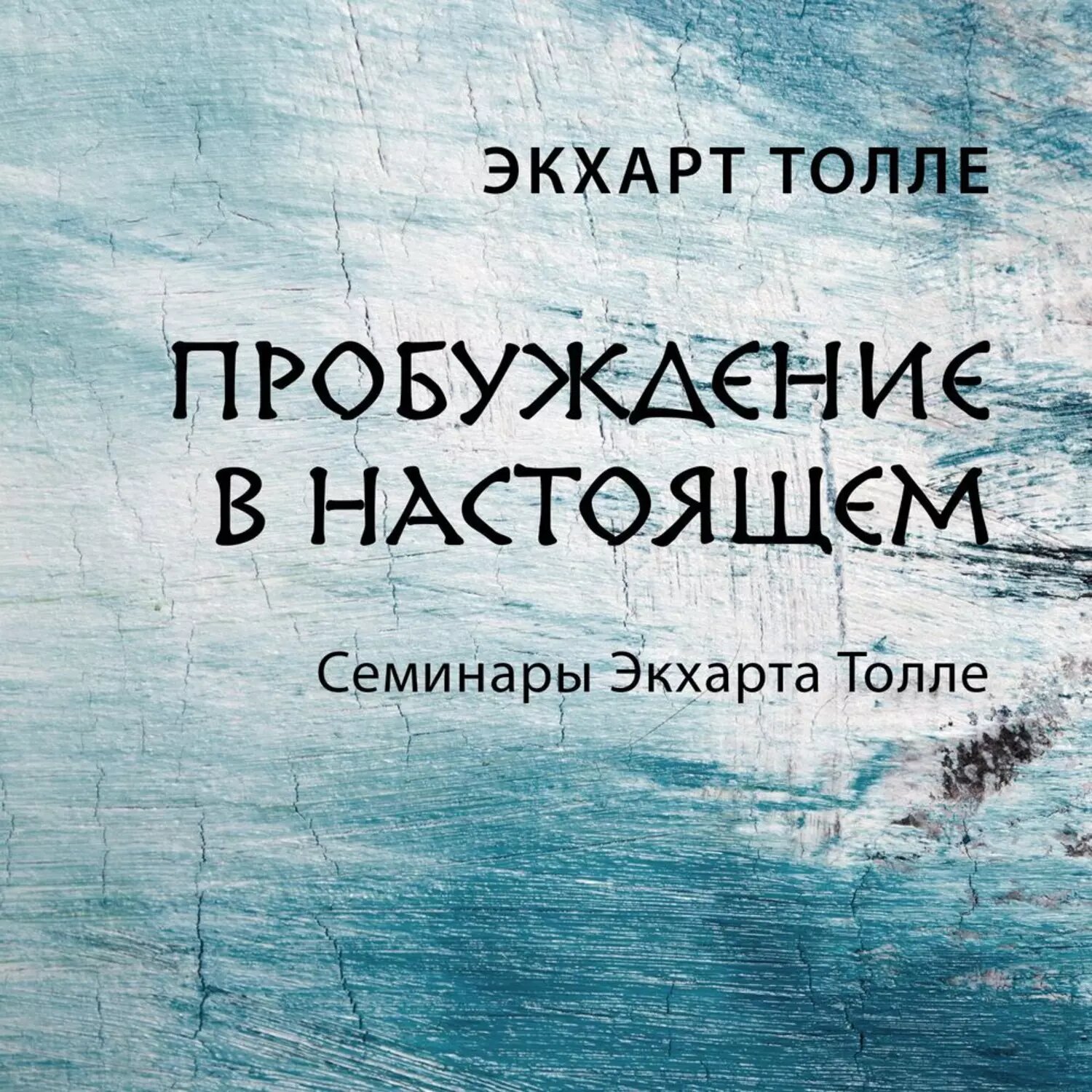 Пробуждение в настоящем [Аудиокнига]