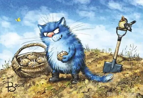 Алмазная Мозаика "Синие Коты" 40x50 См, Безрамная, Идеальна Для Дома, Украшения, Подарков.