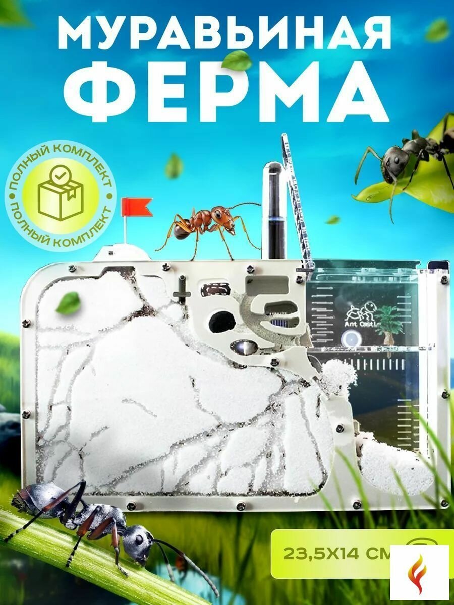Муравьиная ферма