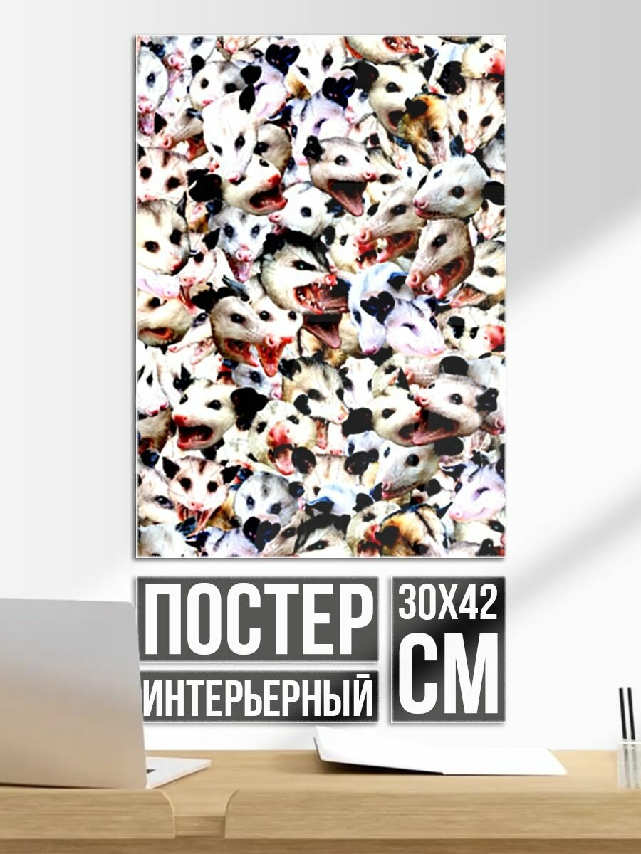 Постер на стену Опоссумы