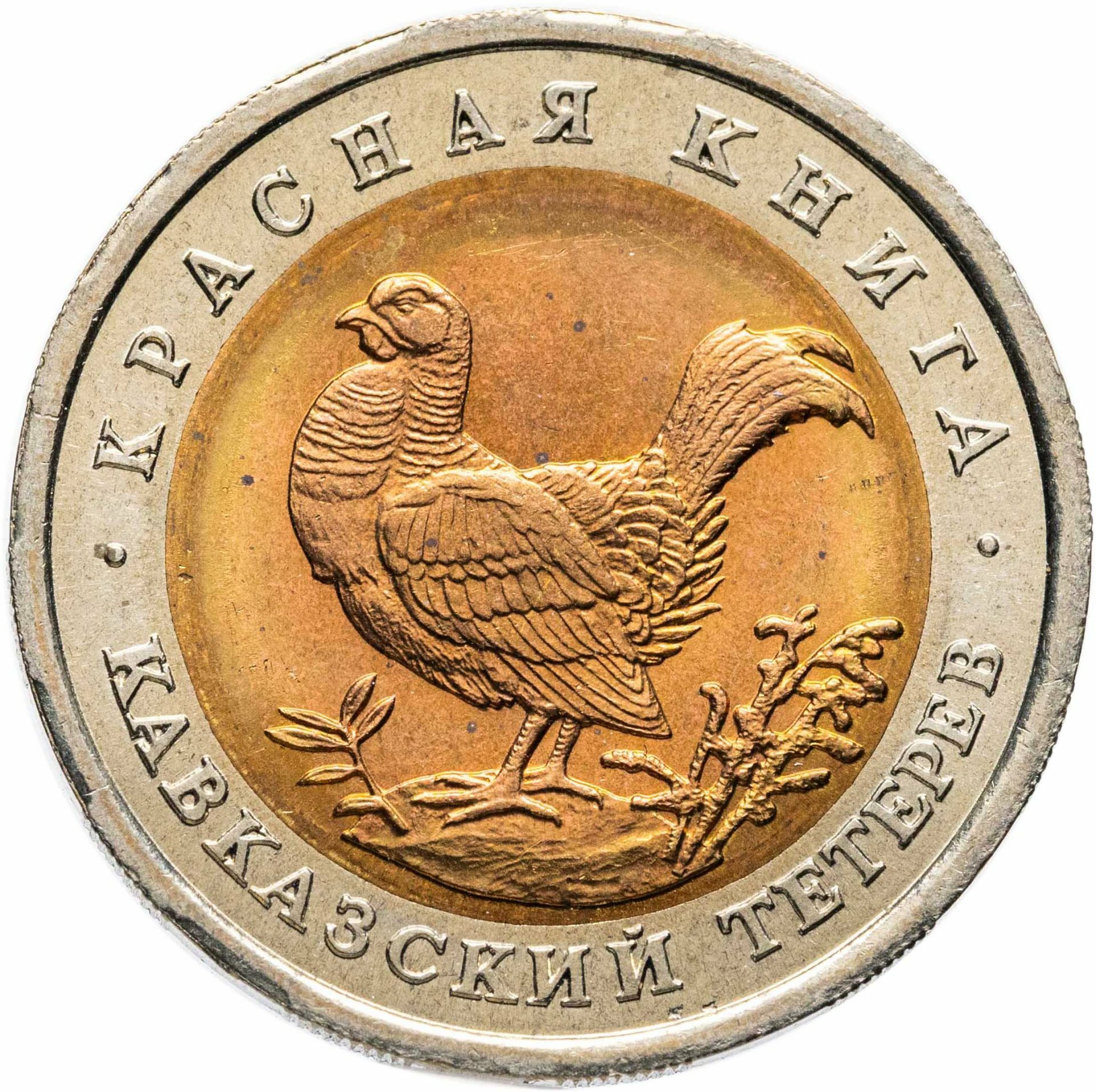 50 рублей 1993 ЛМД Кавказский Тетерев - Красная Книга, Биметалл, в сохранности AU-UNC