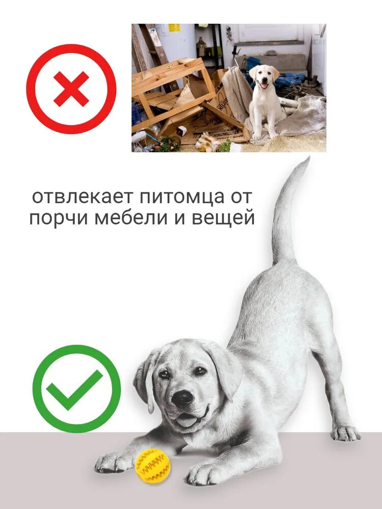 Игрушка для животныхA — фото 1