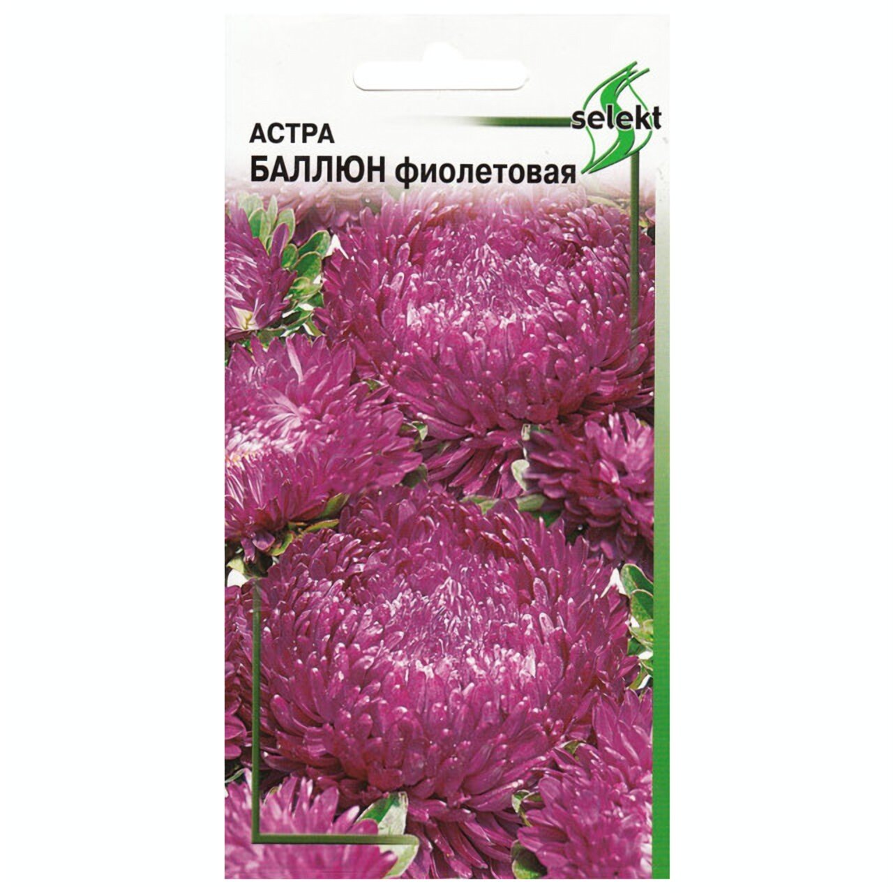 Семена Астра Баллюн фиолетовый ДОМ семян 0,25г, для дачи, сада, огорода и на рассаду