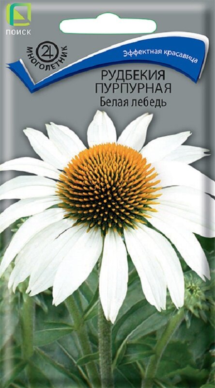 Семена цветов рудбекия пурпурная Лебедь белая, для дачи, сада, огорода и на рассаду