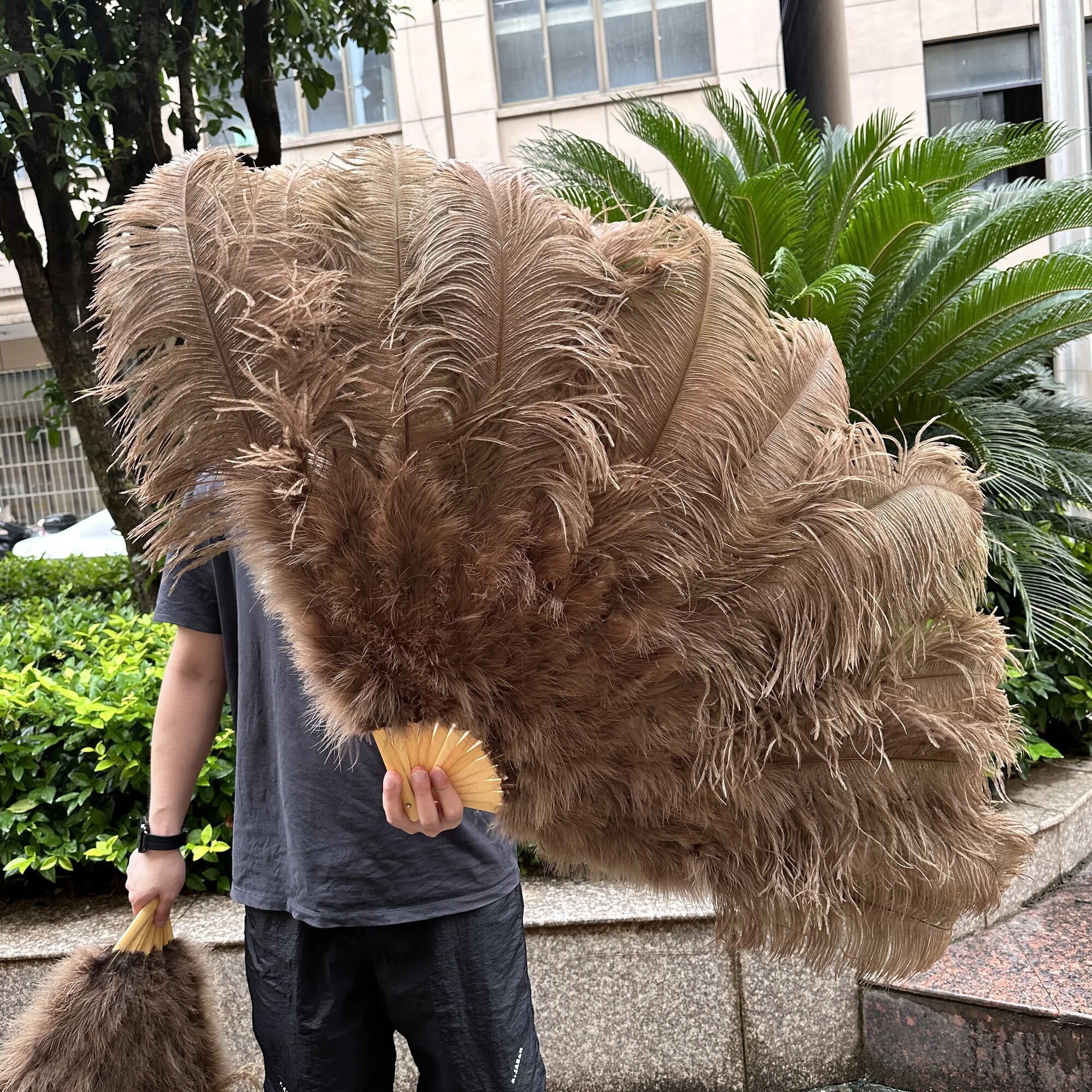 Натуральный веер из страусиных перьев 130 см 30 Deep coffee, 100cm 1PCS left hand