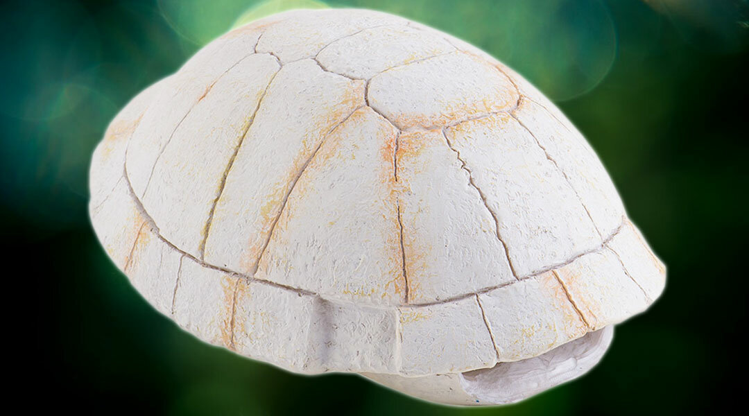 Убежище-Декор Exo Terra "Панцирь Черепахи", пищевой пластик, 13x9x5,5 см