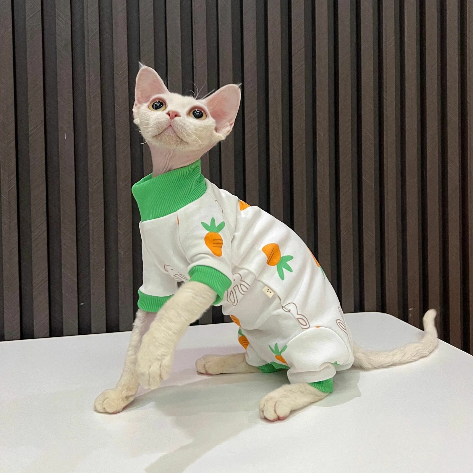 Весенне-осенний комбинезон для кошек, одежда для безволосых четырехлапых кошек, одежда для немецких кошек, летняя дышащая одежда для сфинксов против выпадения шерсти.