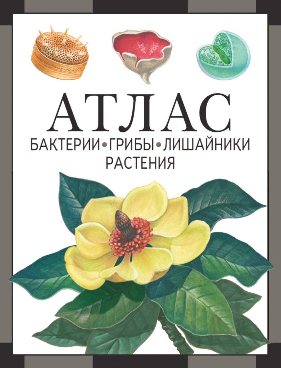 Бактерии, грибы, лишайники, растения: атлас