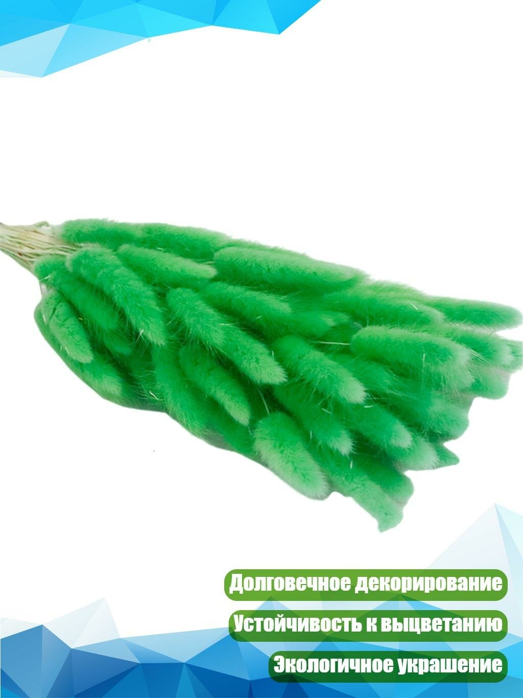 Сушеные хвосты кролика — 55 шт, Сплошной цвет 15