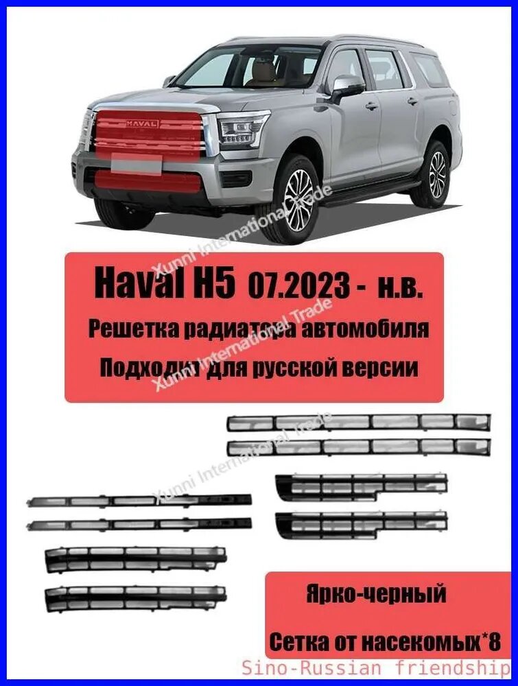 Защита внешних частей автомобиля Haval H5, сетка радиатора, 8 шт, ярко-черный