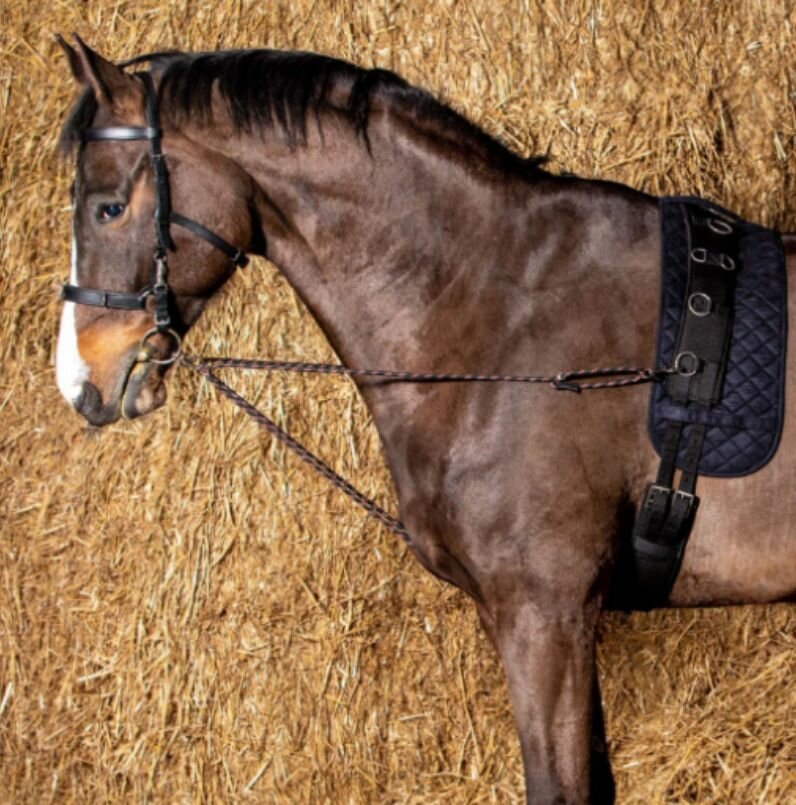 Боковые скользящие развязки для работы на корде Lunging cord V-Line Harry's Horse