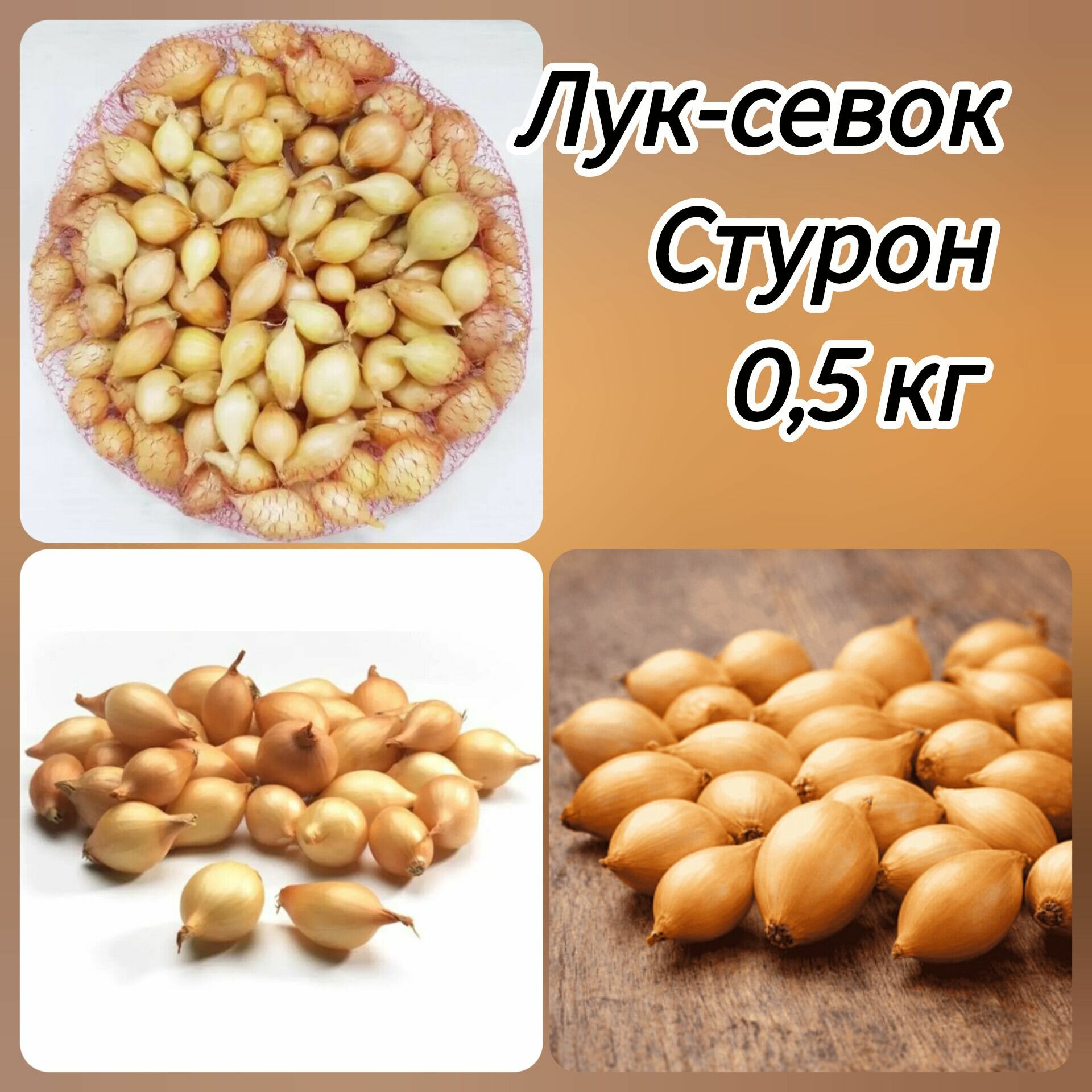 Лук- севок Стурон, 0,5кг.