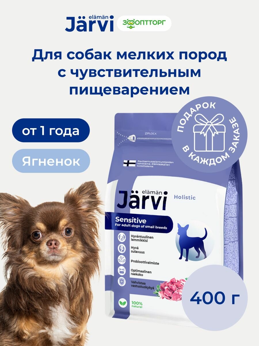 Сухой корм Jarvi полнорационный для взрослых собак мелких пород с чувствительным пищеварением с ягненком, 400 г мелкие породы чувствительное пищеварение ягненок 400г