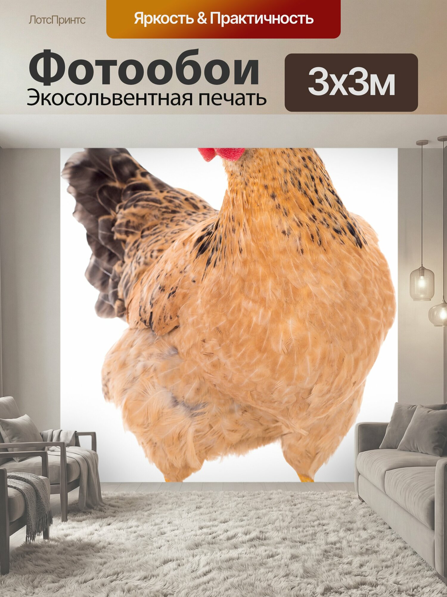 Фотообои "Курица, кур, молодка" 300x300 см. экосольвентная печать