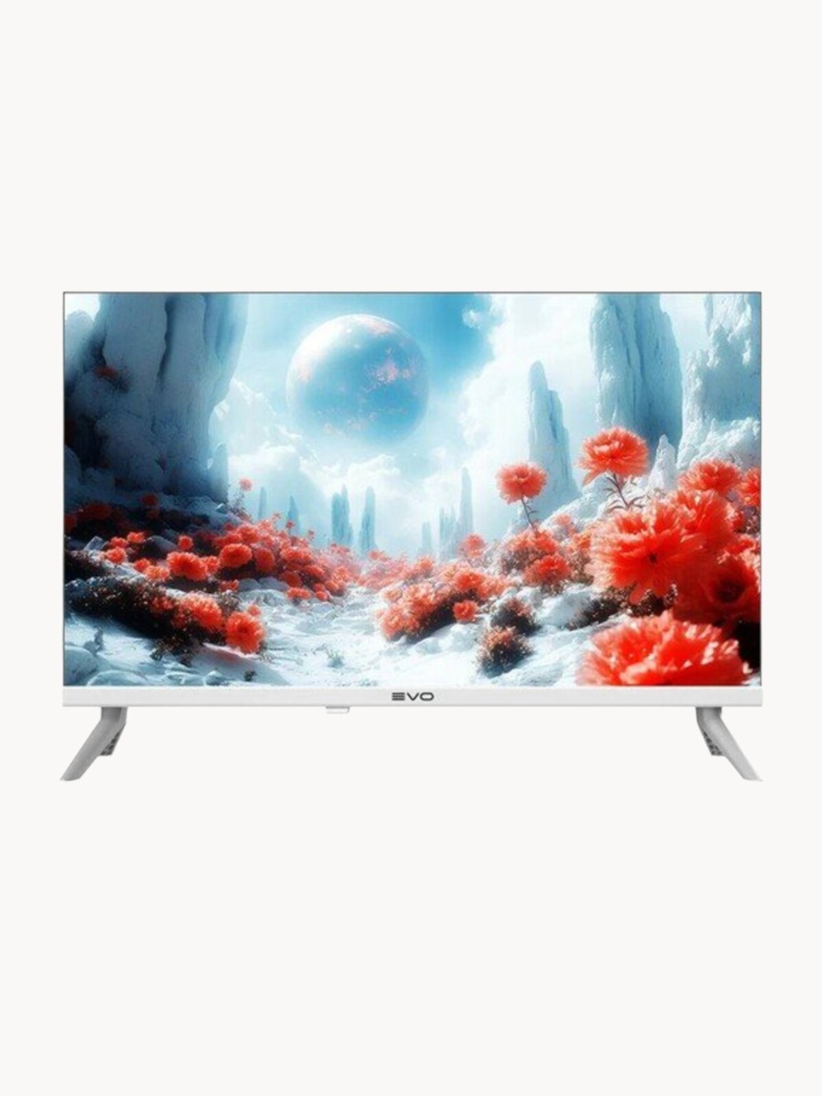 Телевизор EVO TV24