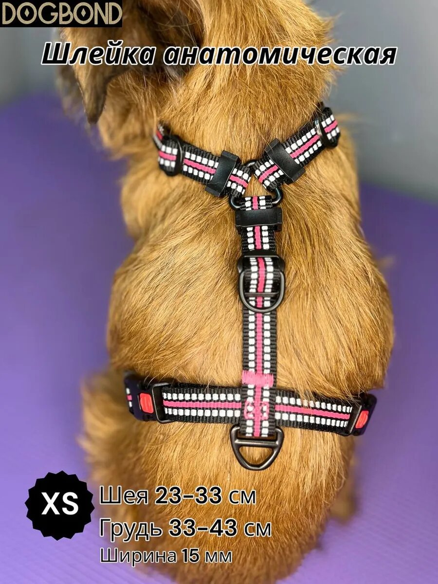 Шлейка Dogbond анатомическая из стропы для собак