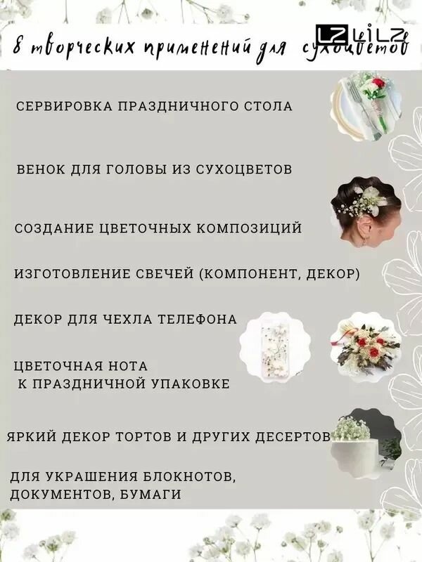 Сухоцветы — фото 1