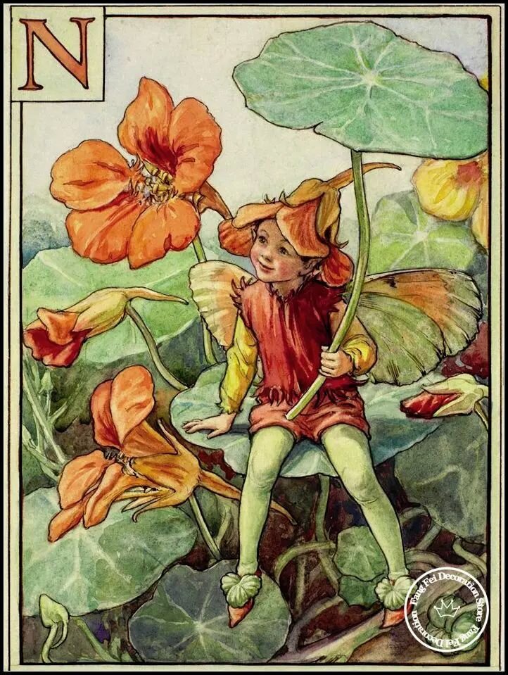 Набор для самостоятельной вышивки алмазами 5DЗнаменитые картины Сесили Мэри Бак - круглая алмазная мозаика размером 40x50 см для украшения стен дома,40X50CM, белый