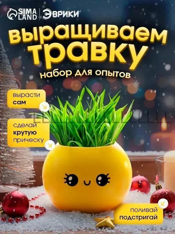 Опыты и эксперименты "Выращиваем травку" / детский набор для выращивания растений