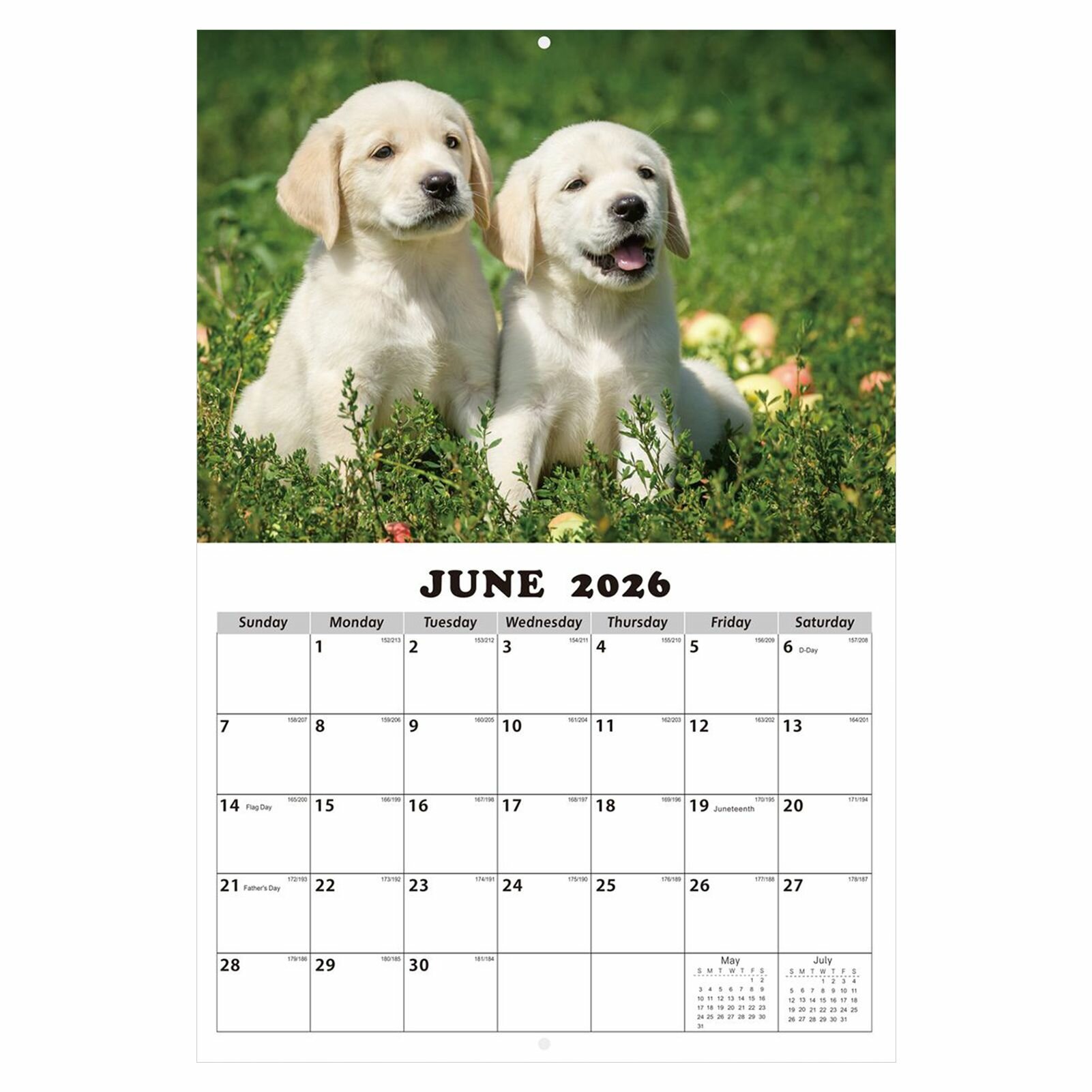 Янв. 2026 г. янв. 2027 г, настенный планировщик для взрослых