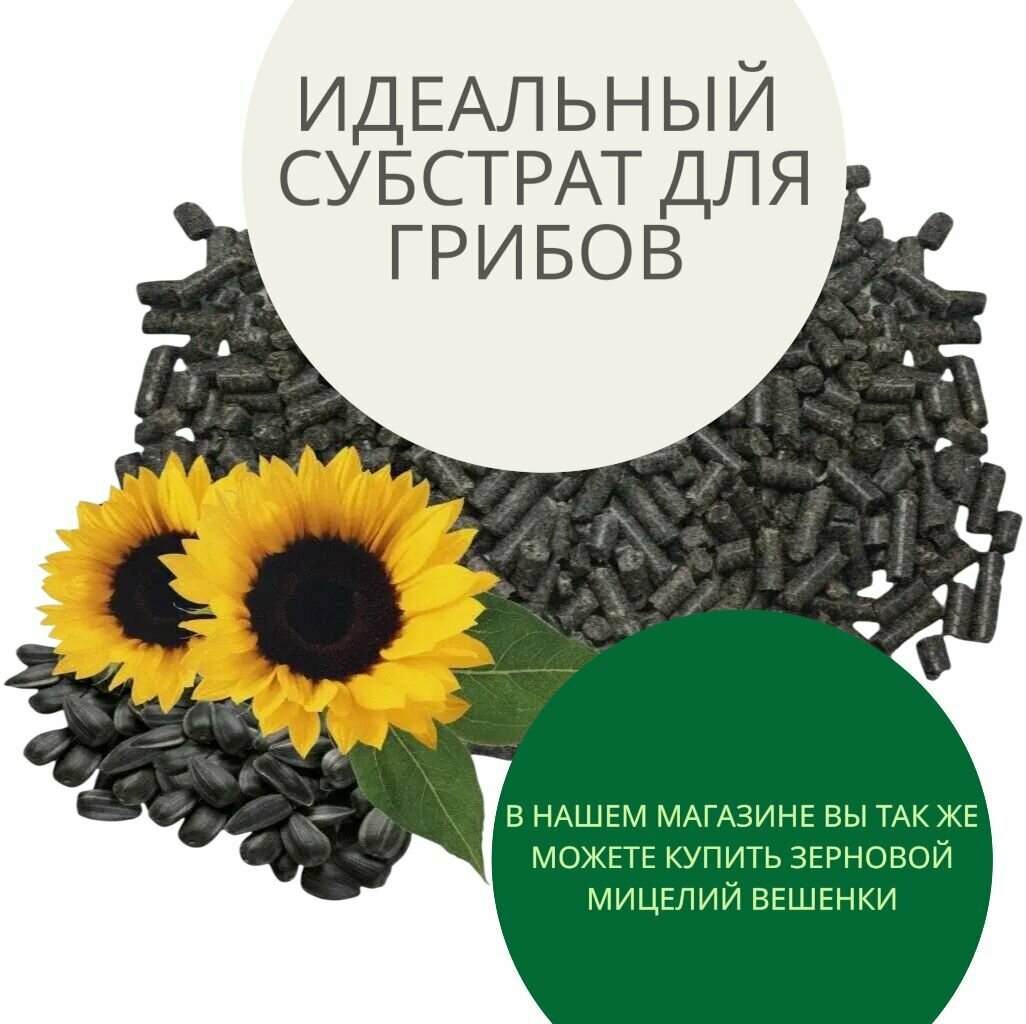 Субстрат для выращивания грибов - 1 кг.