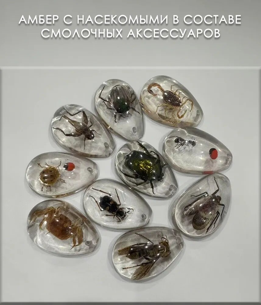 Насекомые в янтаре. 10 штук