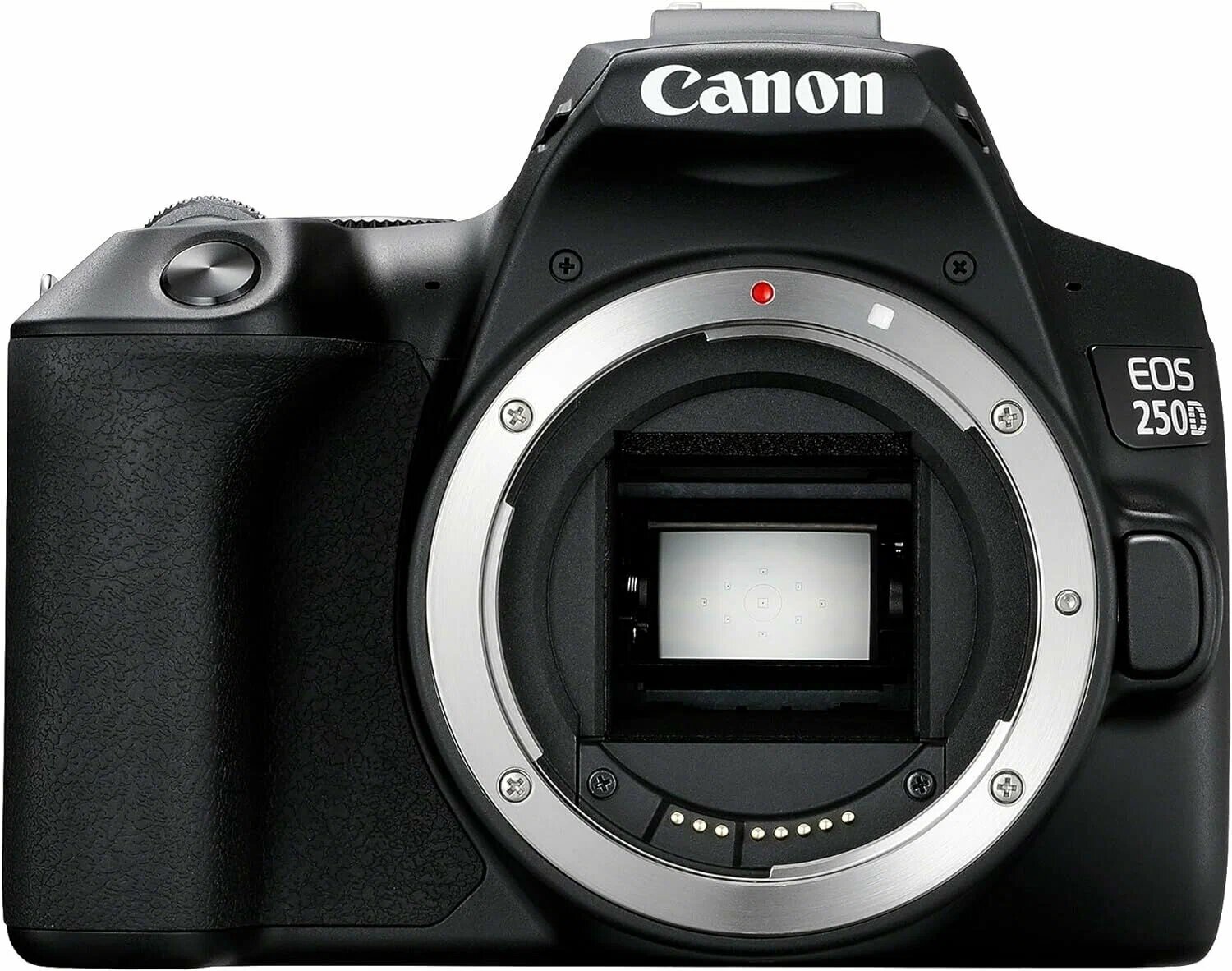 Фотоаппарат Canon Eos 250D Body