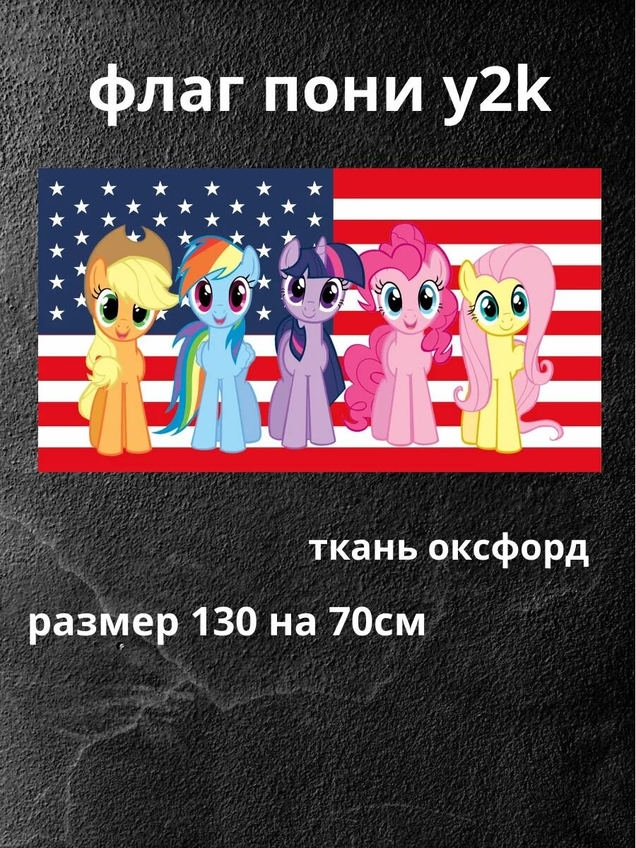 Флаг y2k пони на фоне флага