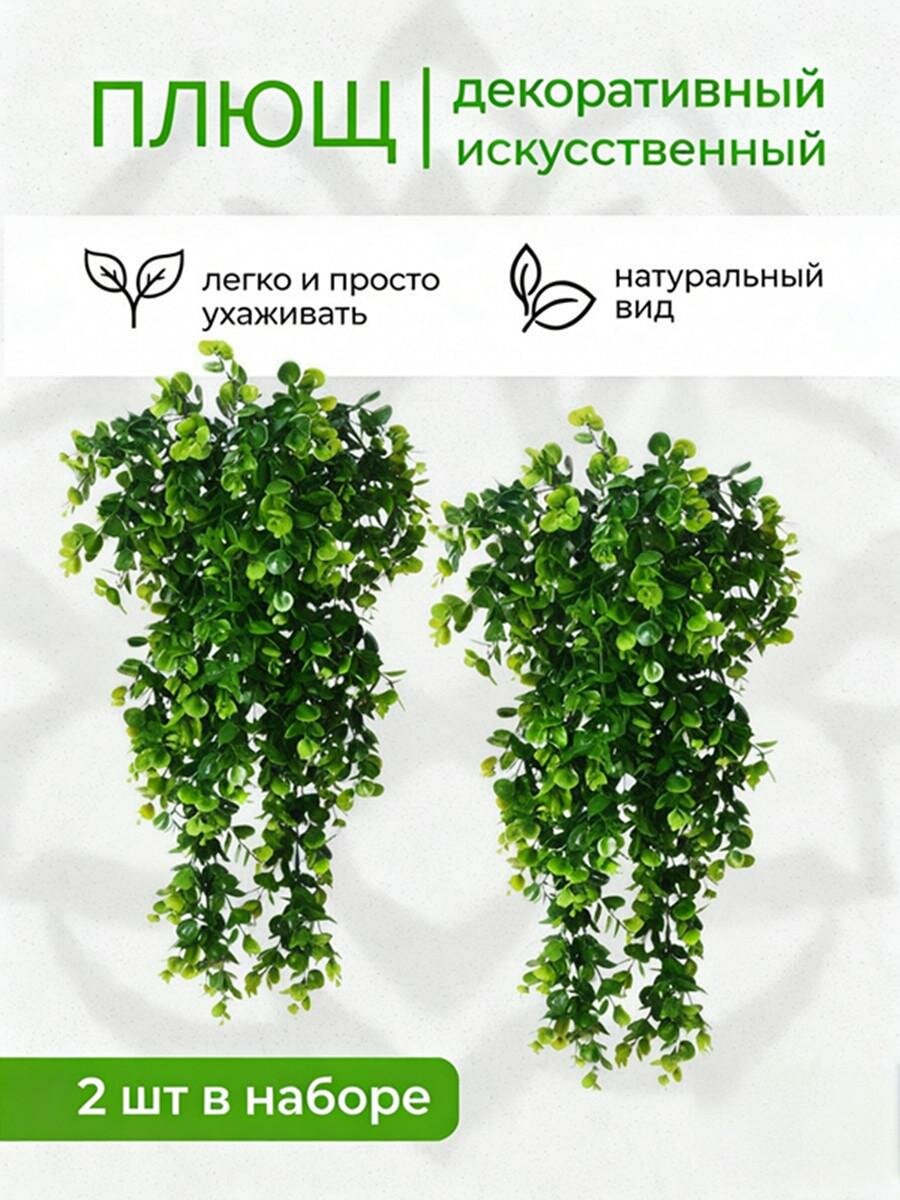 Папоротник настенный ампельный свисающий / растение на стену / лиана плющ для декора интерьера цветок декоративная зелень