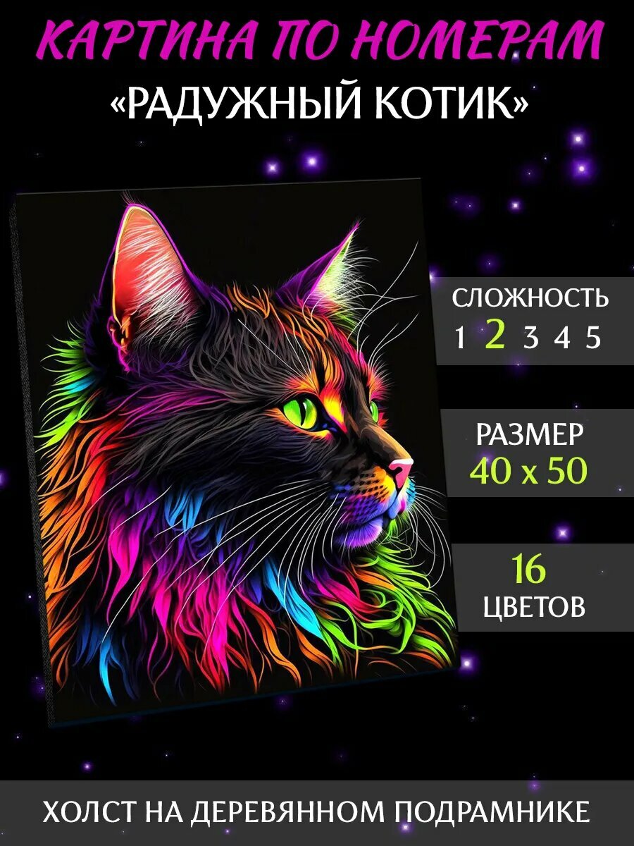 Molly Картина по номерам "Радужный котик" 40х50 см