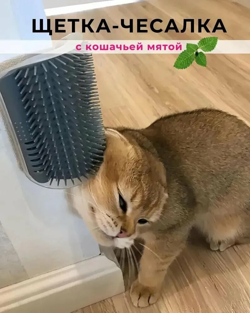 Расческа дял животных, чесалка для кошек на стену угловая с кошачьей мятой и креплениями большая