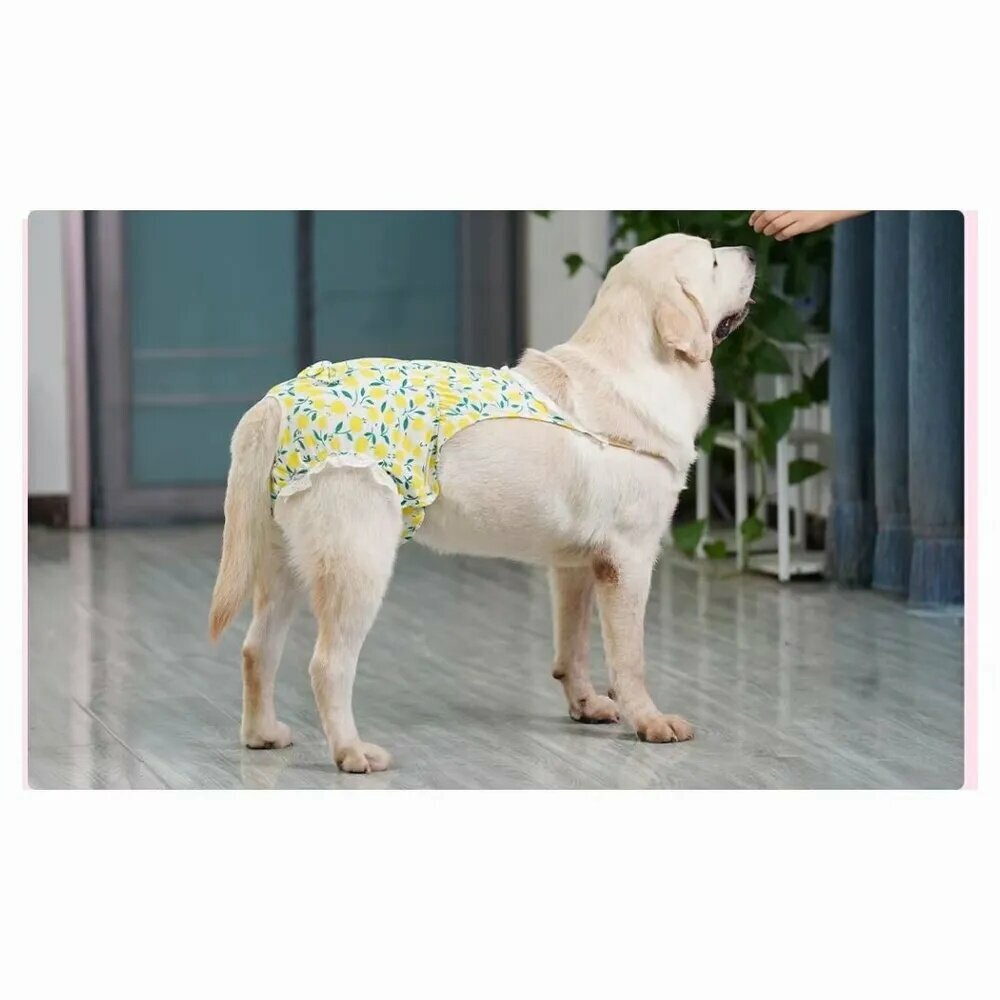 Многоразовые трусы для собак на время течки (желтый цветочный комбинезон)