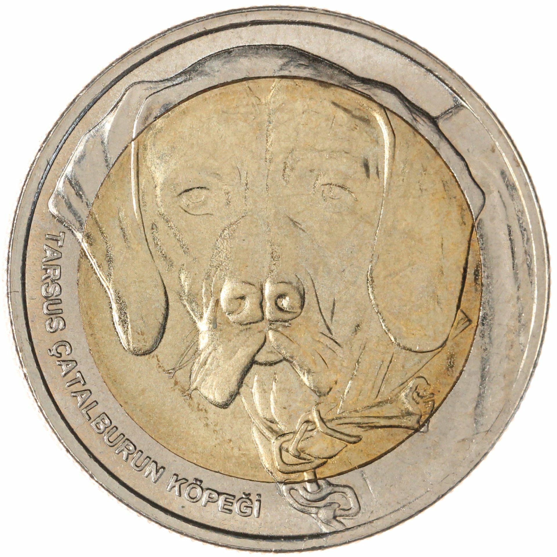 Турция 1 куруш 2021 "Собака чаталбурун каталбурун", Биметалл, в сохранности UNC