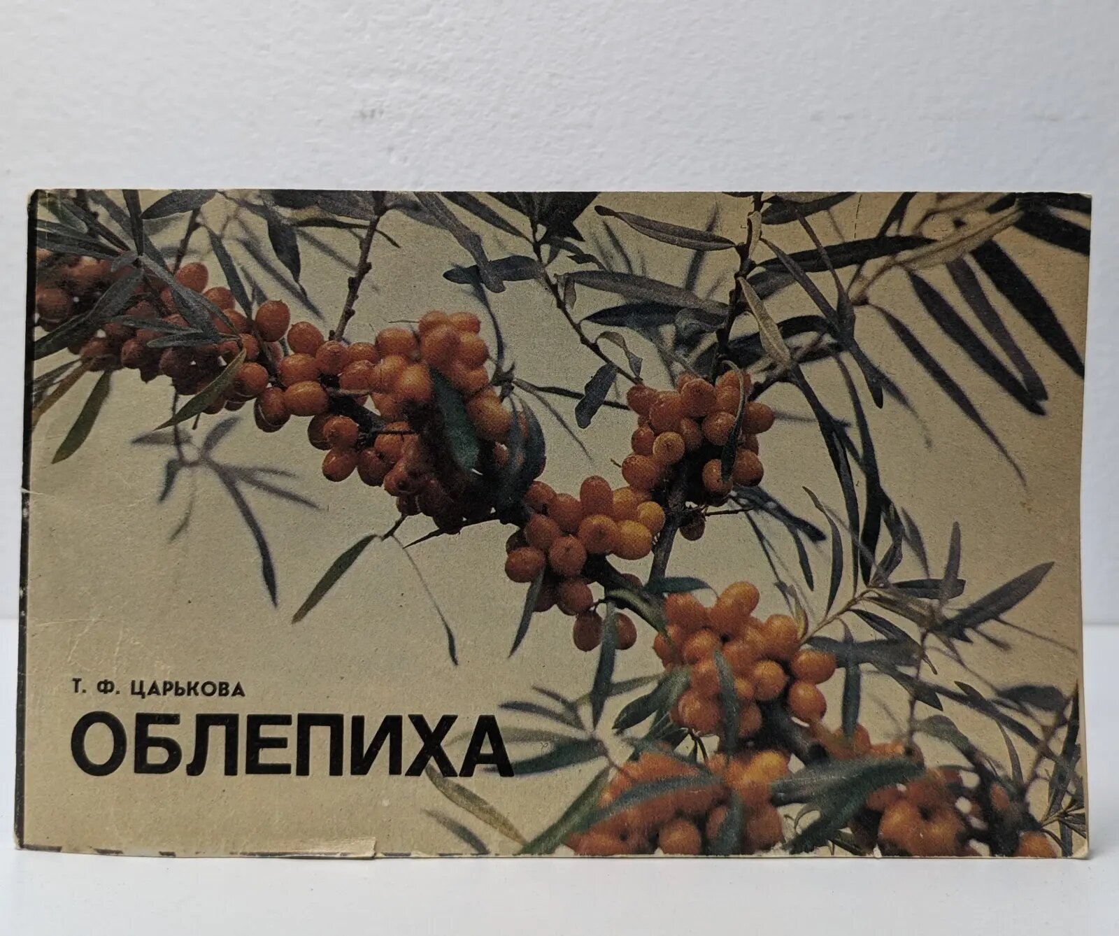 Облепиха Царькова Татьяна Федоровна 1987