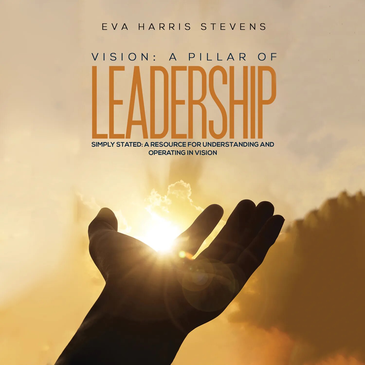 Vision: A Pillar of Leadership (Unabridged) [Аудиокнига]