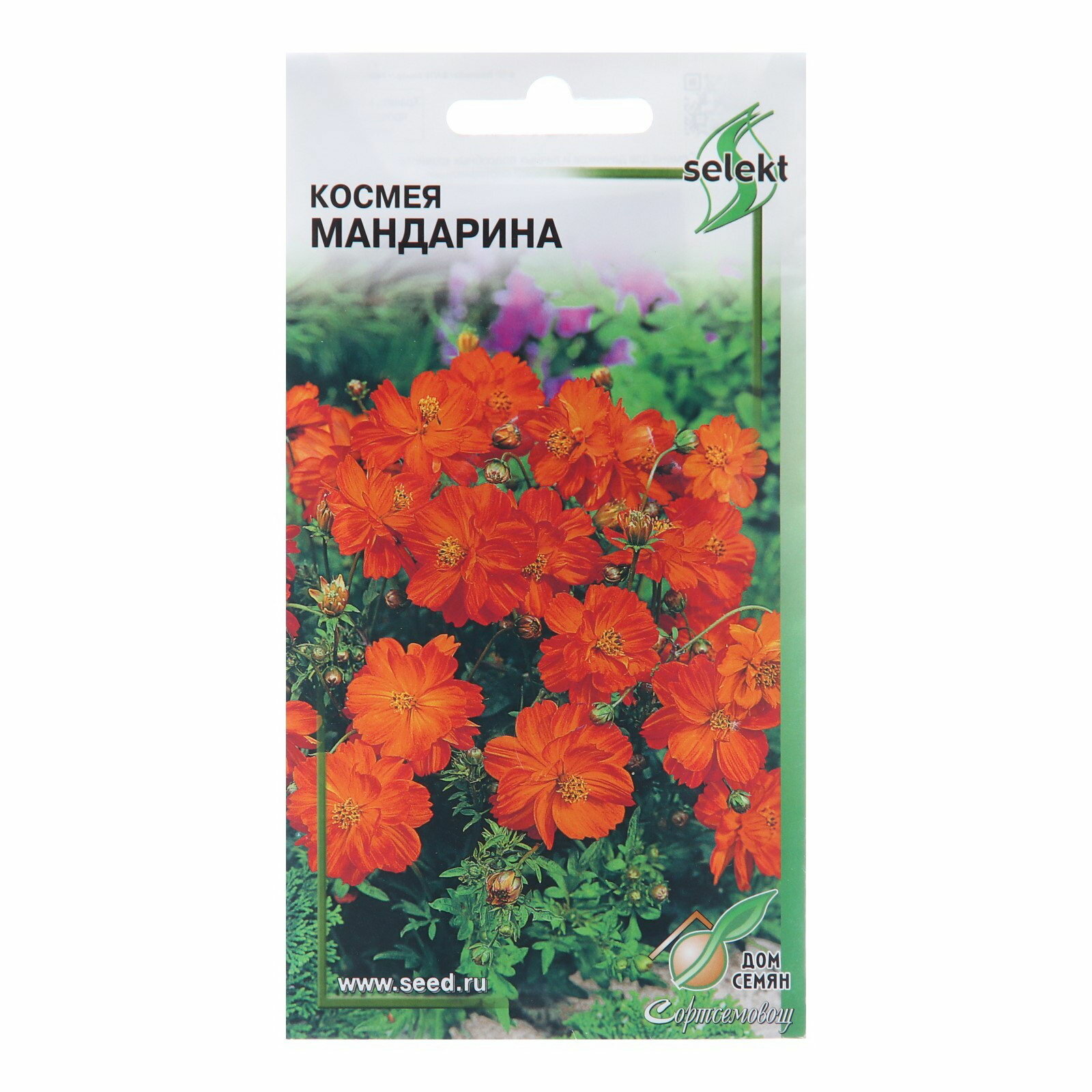 Семена цветов Космея "Мандарина", 10 шт, цветение период: август