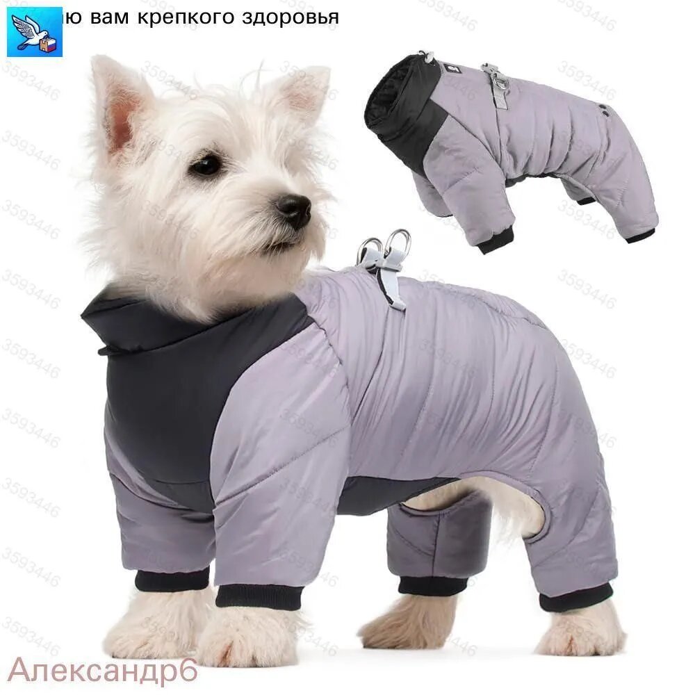 Зимний комбинезон для собак L светло-серый непромокаемый со шлейкой