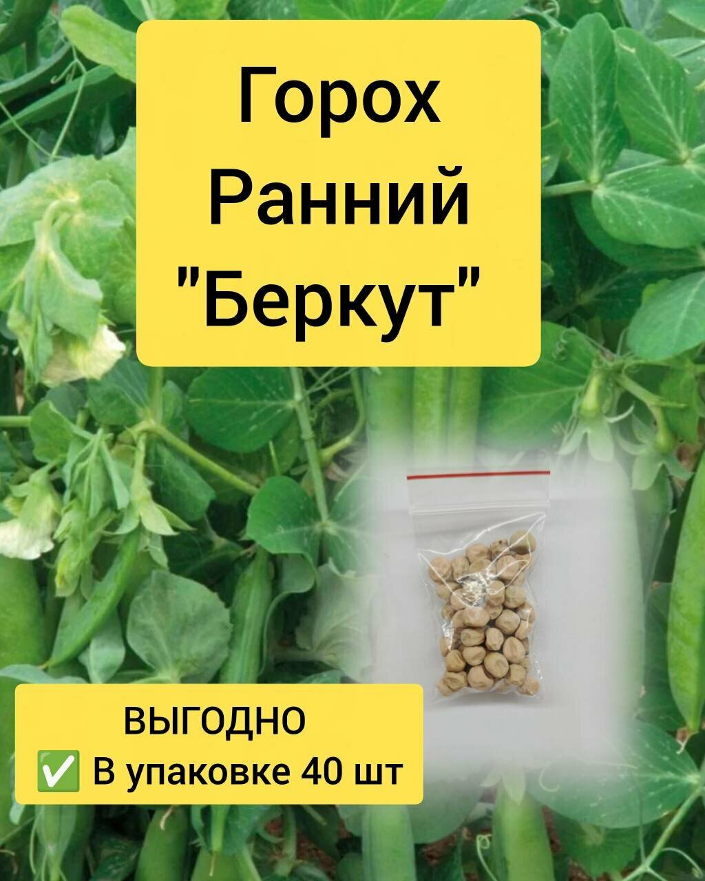 Семена гороха сладкого раннего "Беркут", в упаковке 40 шт. семян.