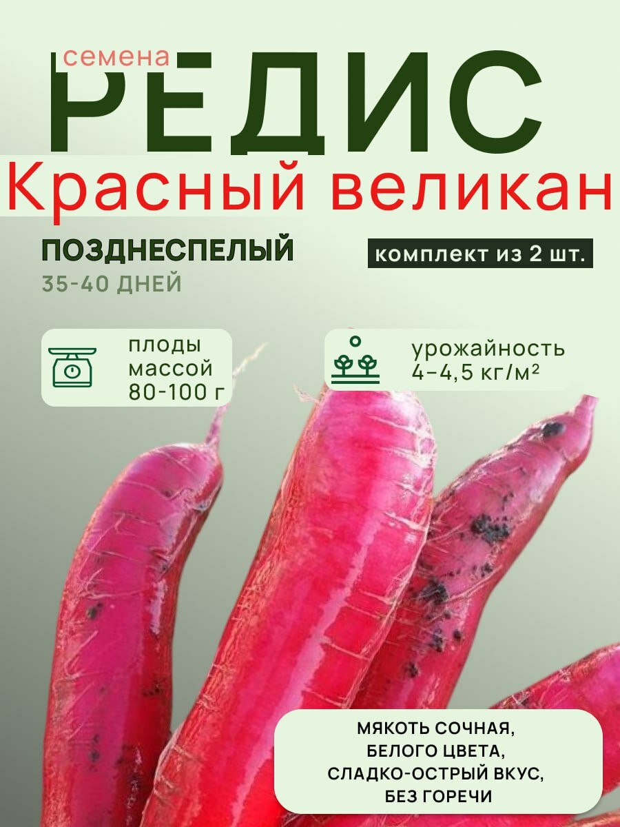 Семена редиса сорт "Красный великан", высокопродуктивный, 2 пачки