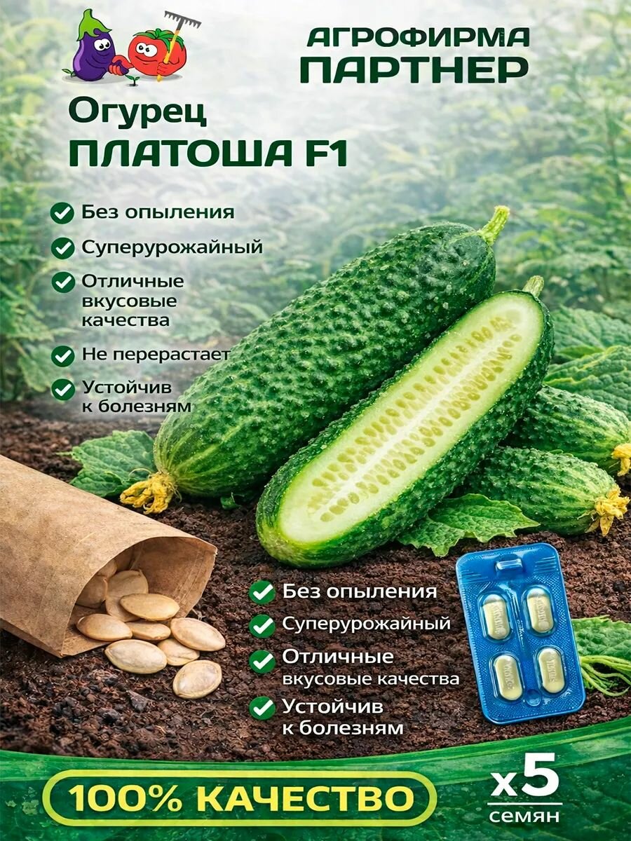 Семена огурцов Платоша F1