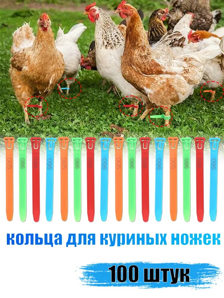 Меточные кольца для птиц, родовое кольцо на лапку для кур, 100 шт