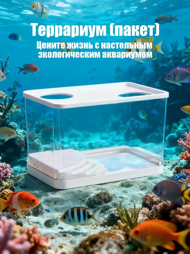 DRAYMAT Универсальный акватеррариум с улучшенной крышкой для рыб и черепах. Голая емкость 93% прозрачности из PET-пластика без декора и оборудования. Рекомендуется новичкам и энтузиастам.