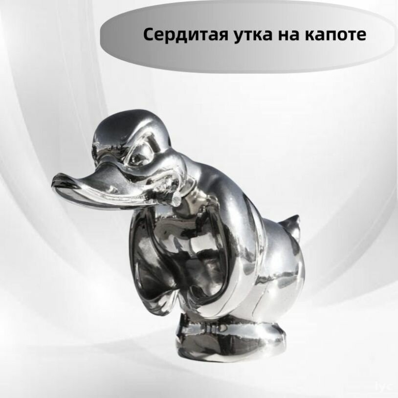 Эксклюзивный капотный аксессуар