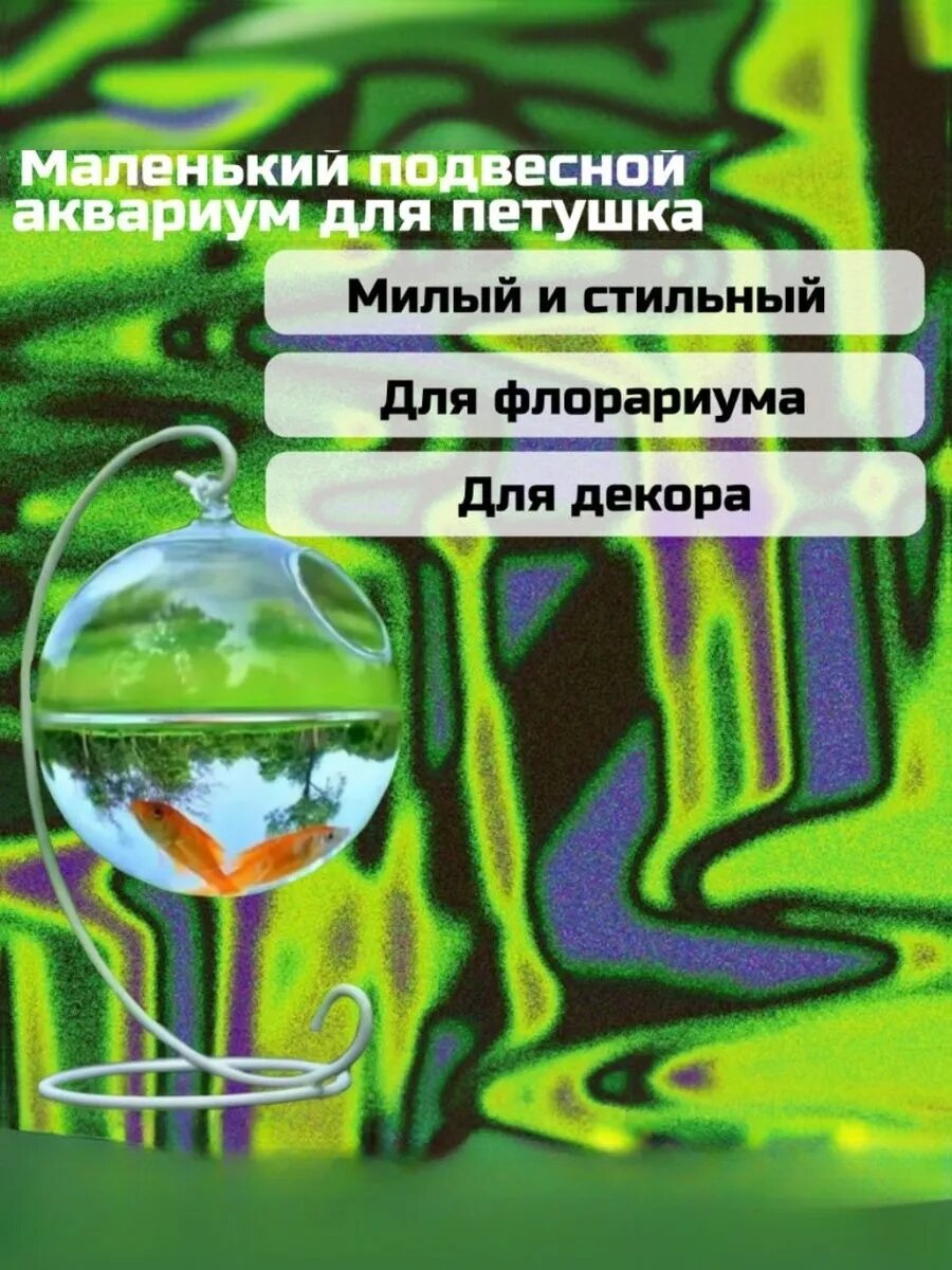 Маленький подвесной аквариум для петушка