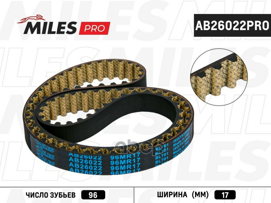 Ремень ГРМ Miles арт. AB26022PRO