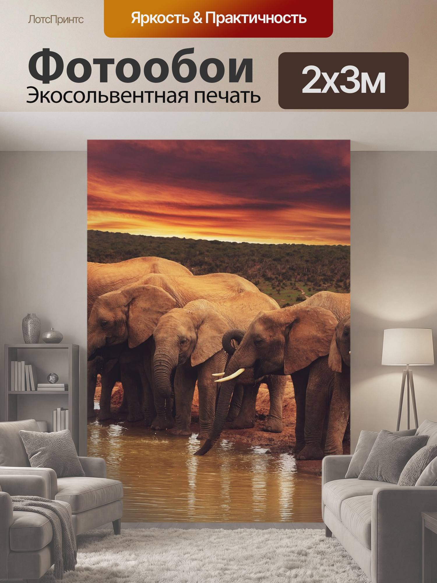 Фотообои "Слоны, дорогой, облака" 200x300 см. экосольвентная печать