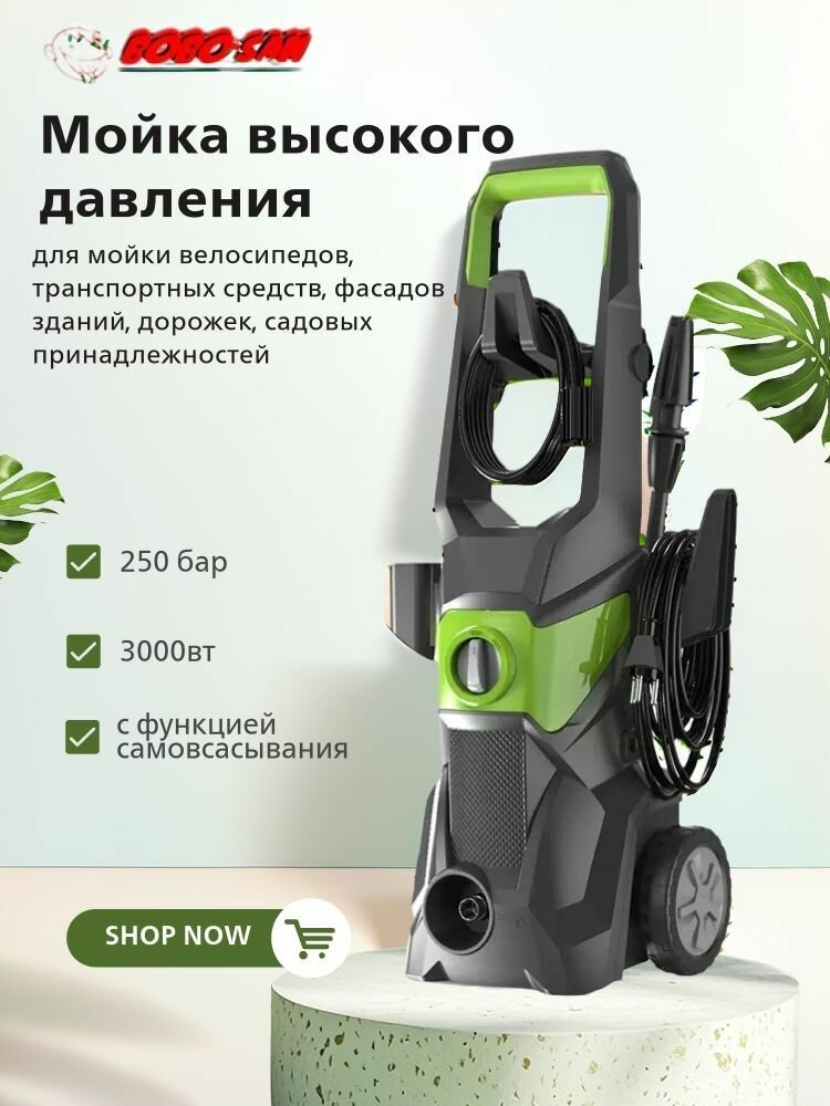 Мойка высокого давления (250 бар, 3000 Вт, с функцией самовсасывания)