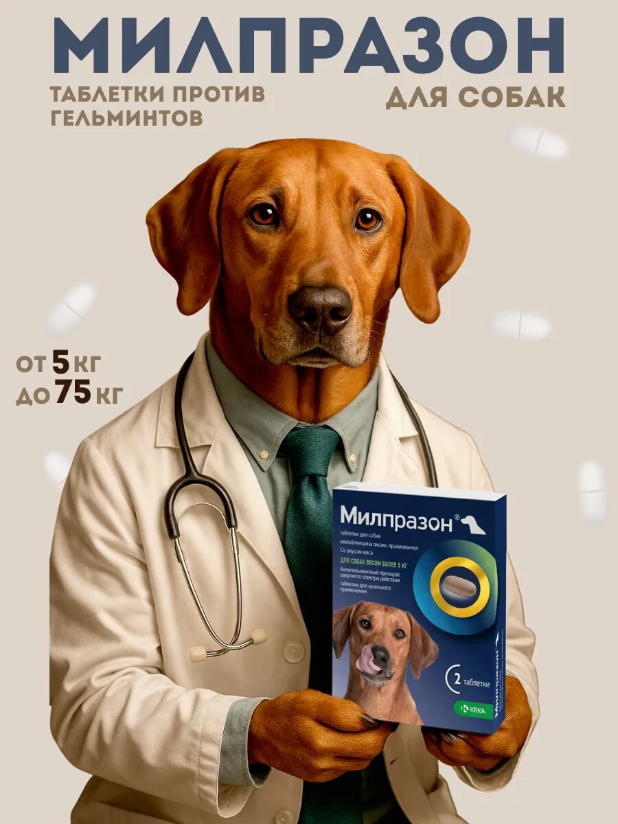 Милпразон 12,5 мг для собак более 5 кг, таблетки, 2 шт